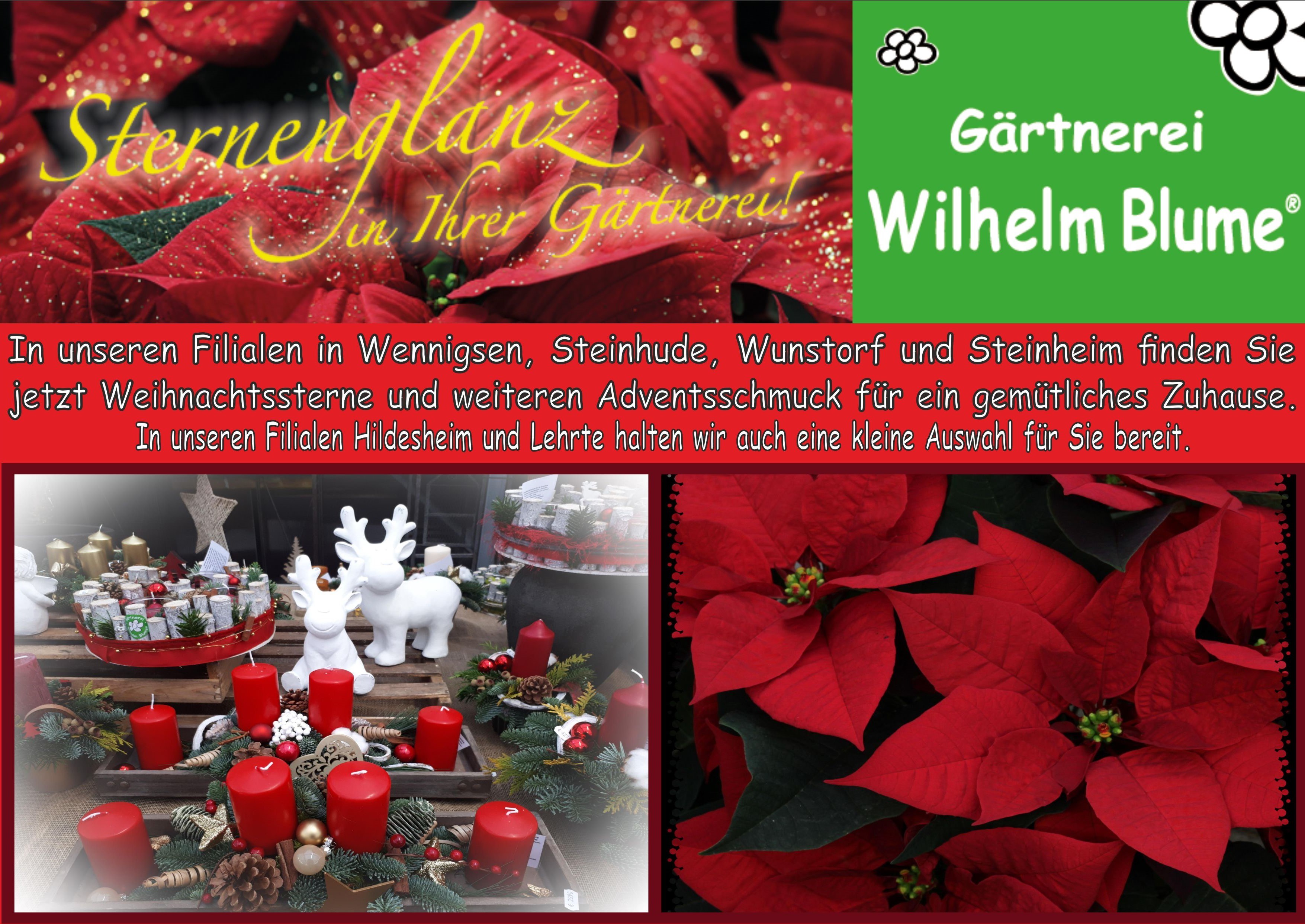 Ab jetzt: Weihnachtsstimmung in unseren Filialen! - Gärtnerei Wilhelm Blume